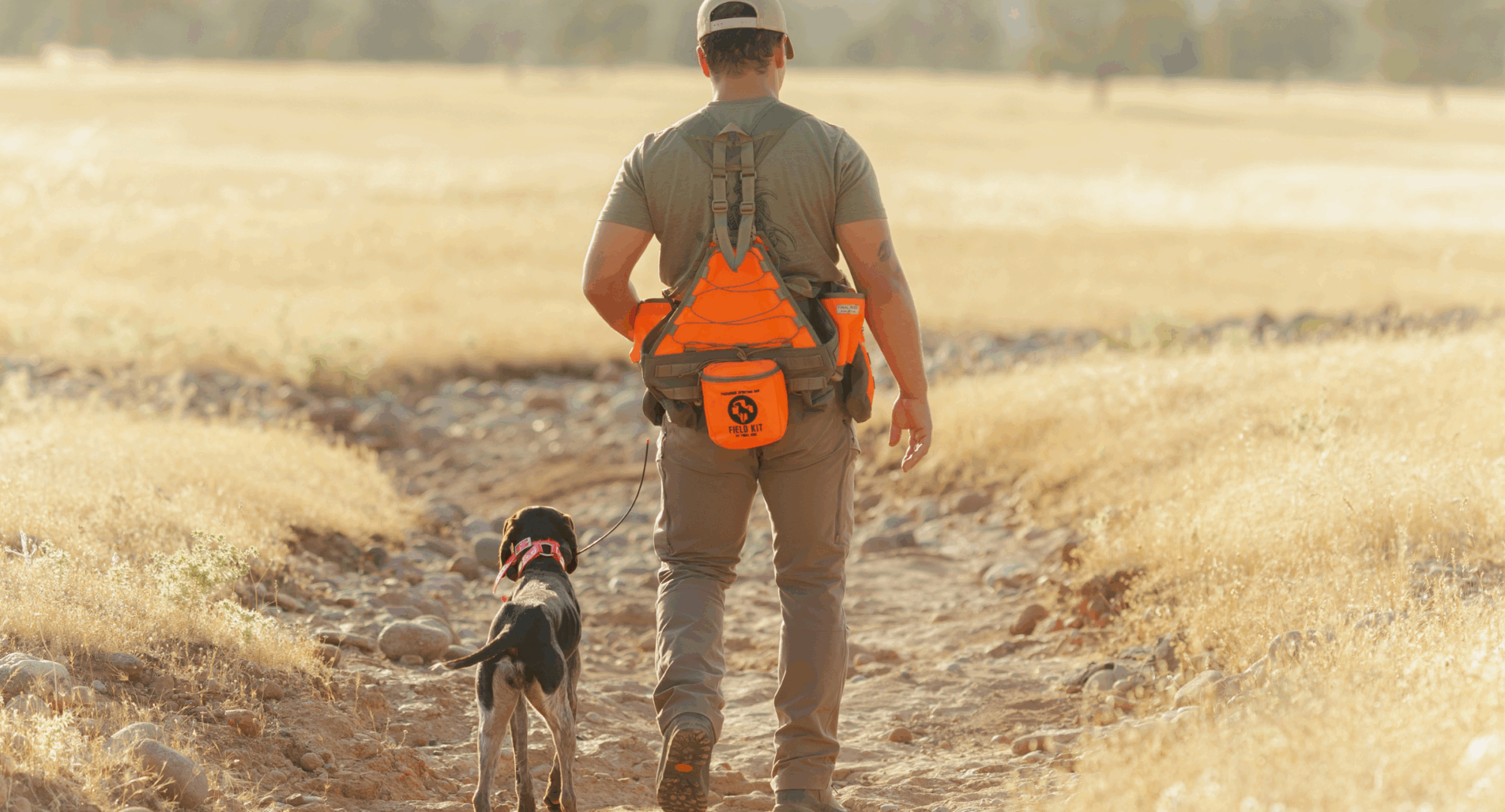How to Keeping Your Hunting Dog in Shape? | SPORTMiX®