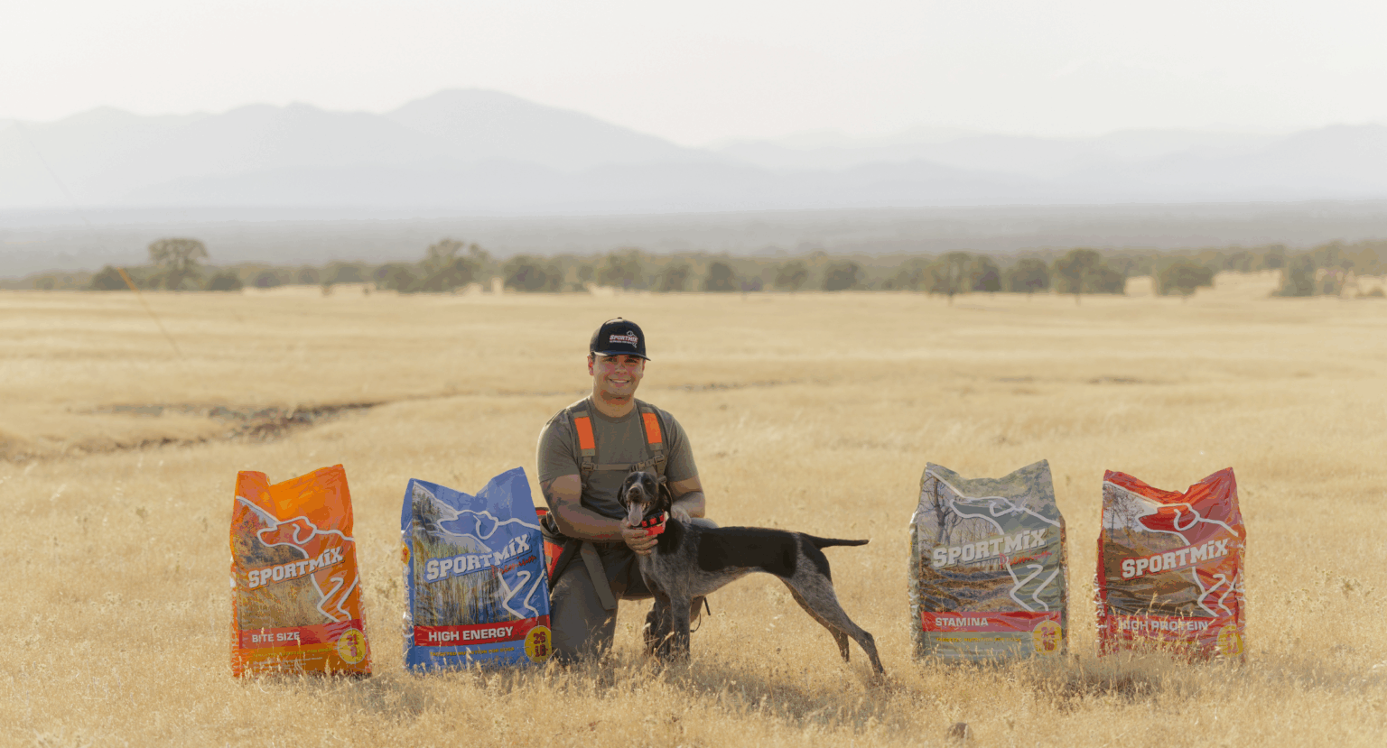 Most Athletic Dog Breeds: Top 10 for Sports & Adventure | SPORTMiX®