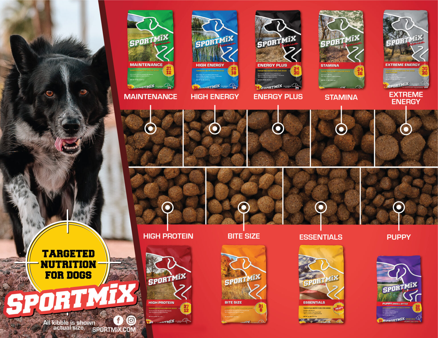 Frequently Asked Questions | SPORTMiX®