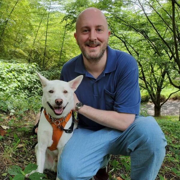 Top 12 High Energy Dog Breeds: Meet the Most Energetic Pups | SPORTMiX®