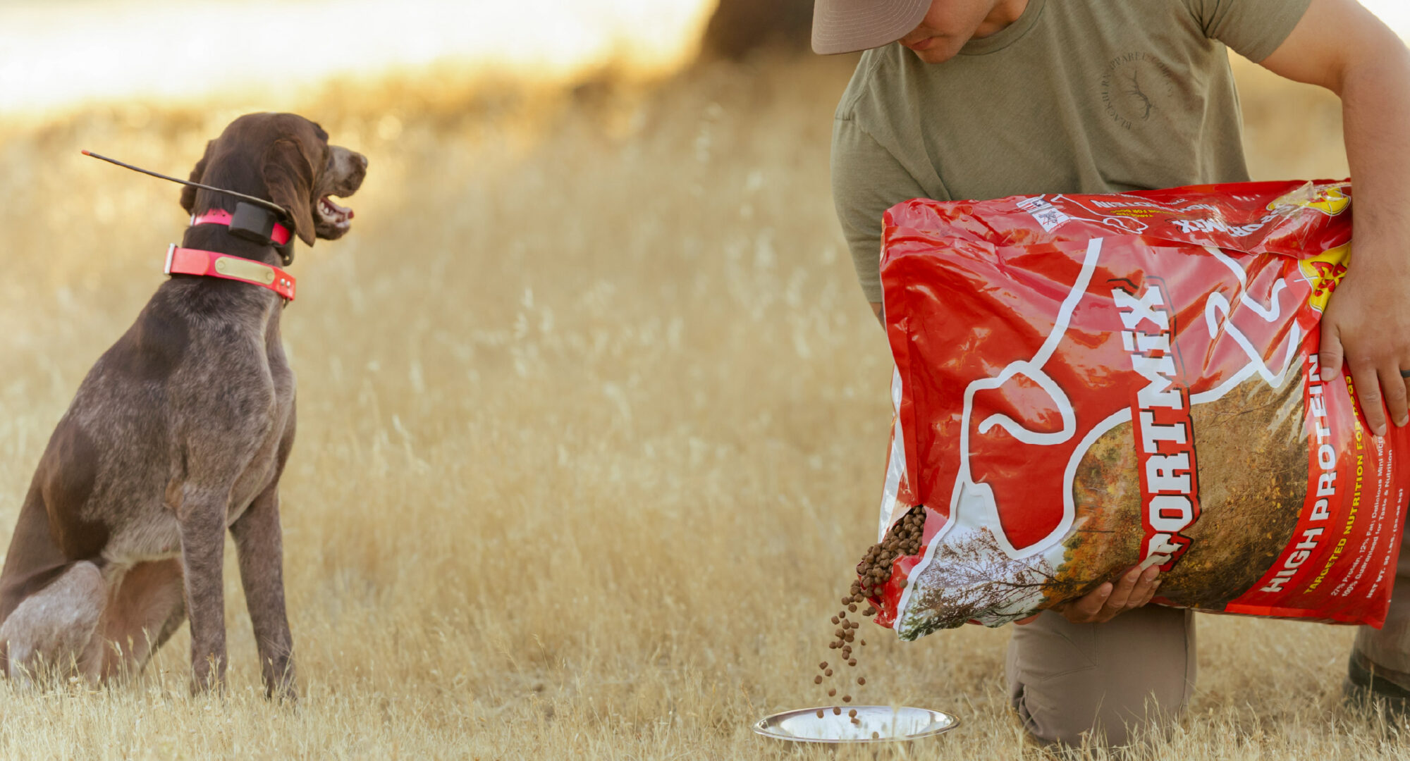 Keeping Your Hunting Dog Healthy | SPORTMiX®